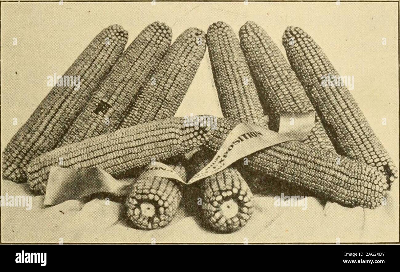 Story of gideon hi-res stock photography and images - Alamy