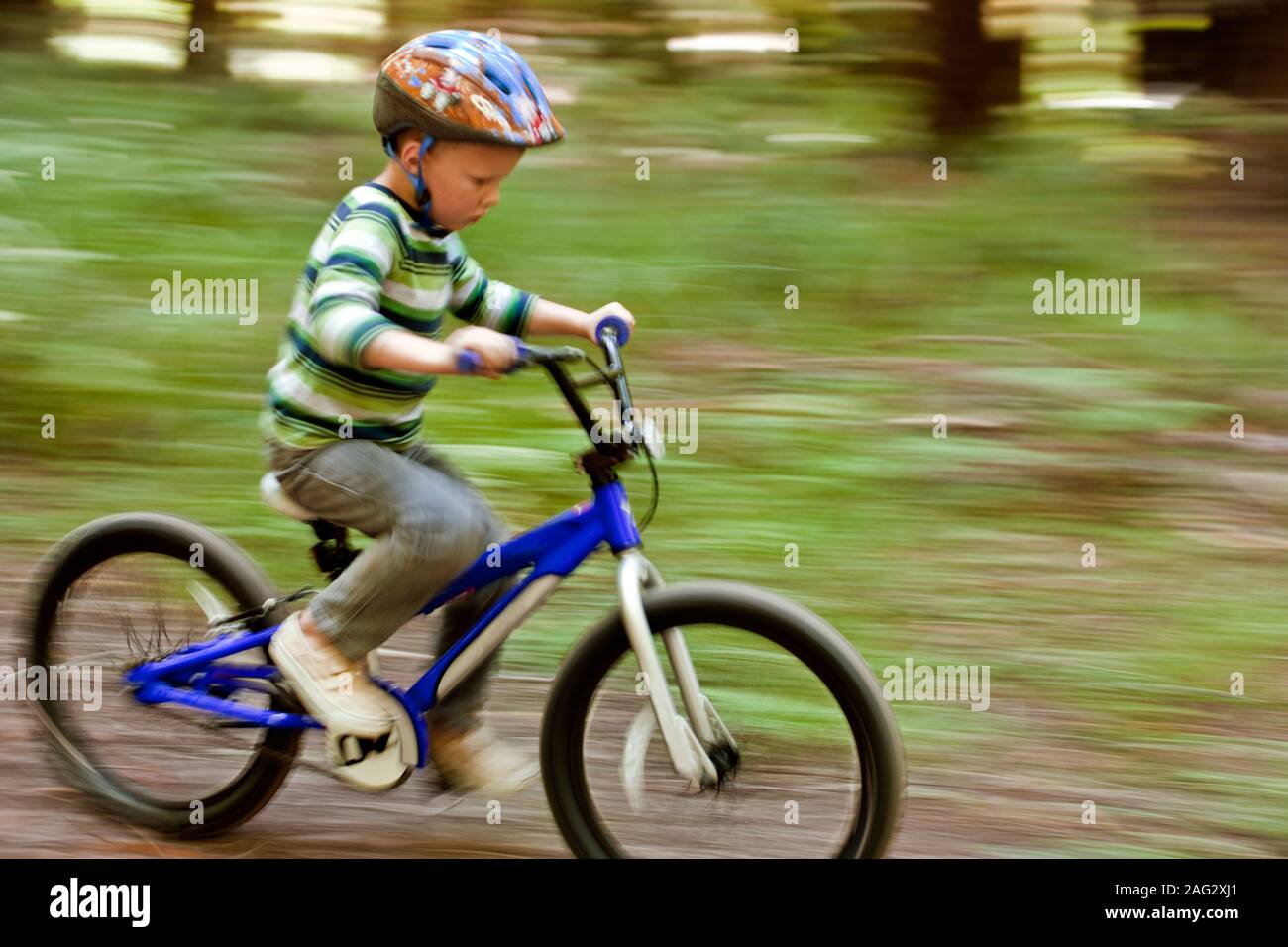 Boy riding his bicycle through the forest Stock Photo - Alamy