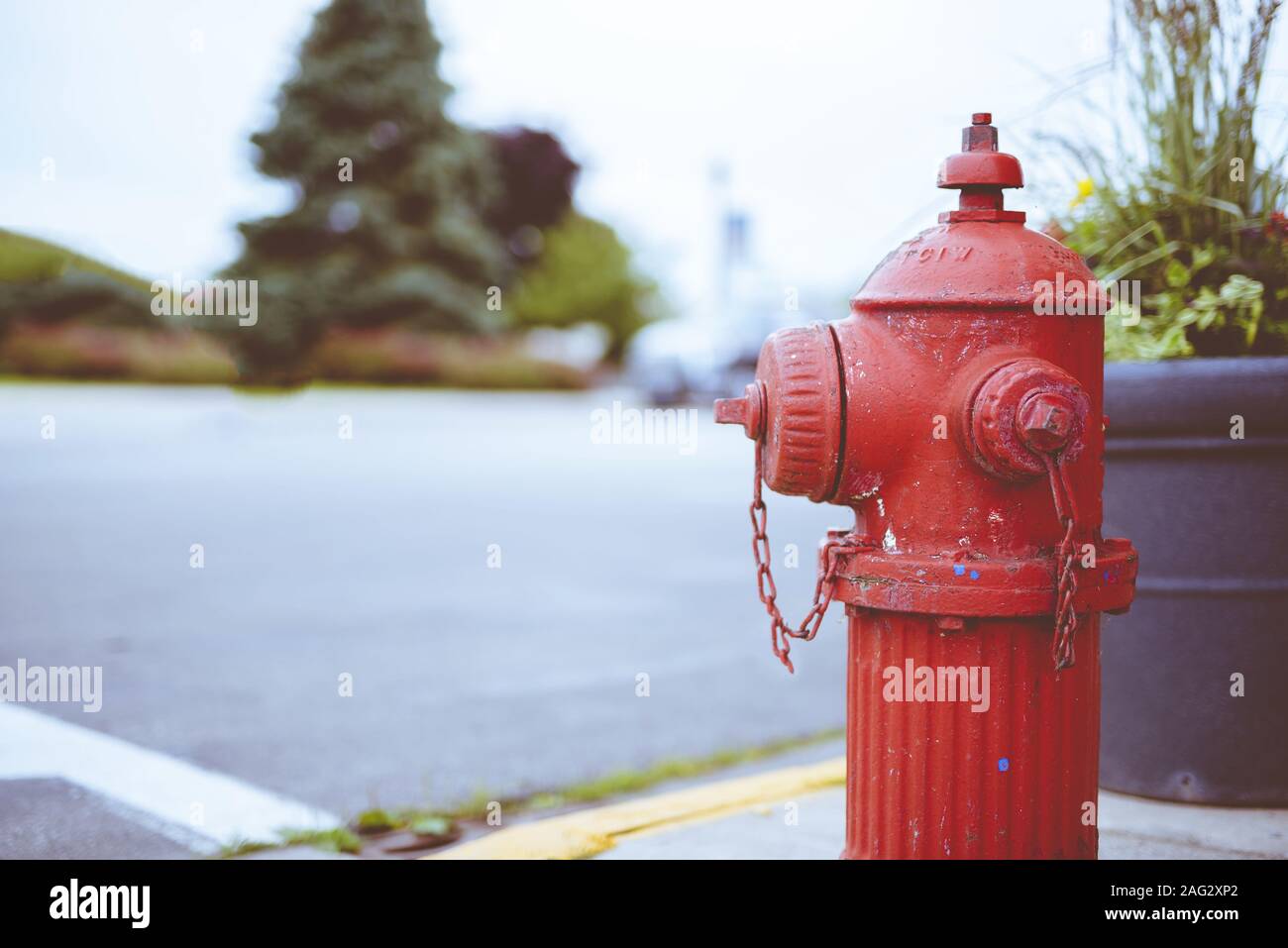 Closeup shot of a red fire hydrant with a blurred background Stock ...