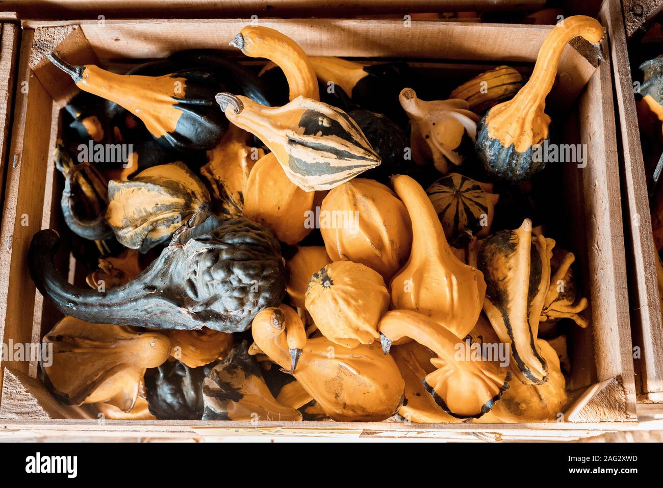 Miniature gourd container hi-res stock photography and images - Alamy