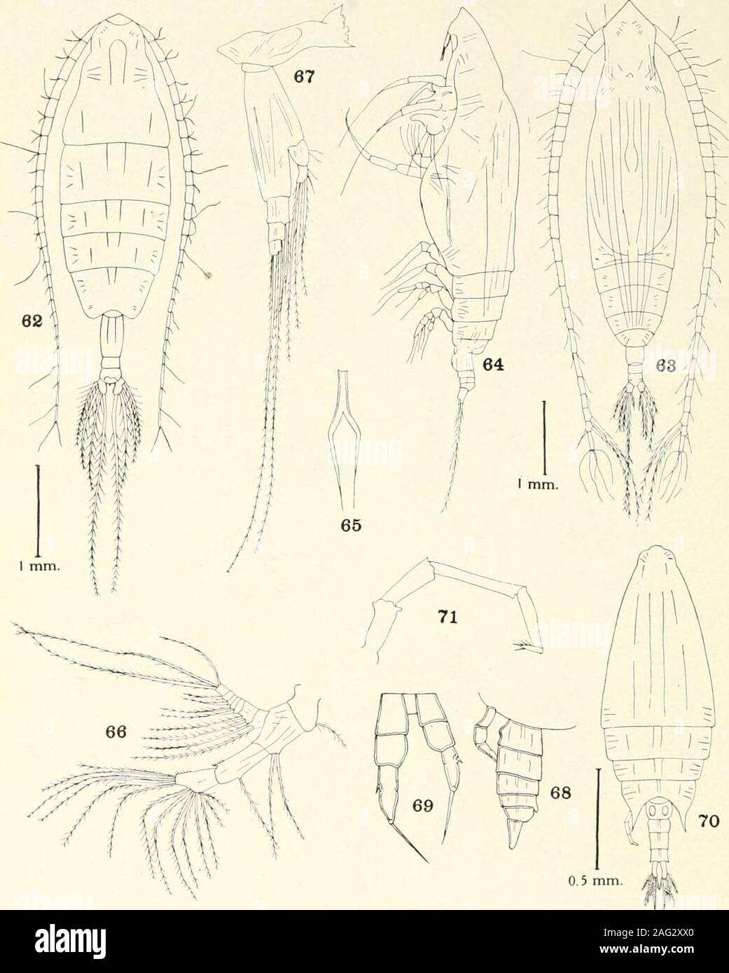 54 67 100 hi-res stock photography and images - Alamy