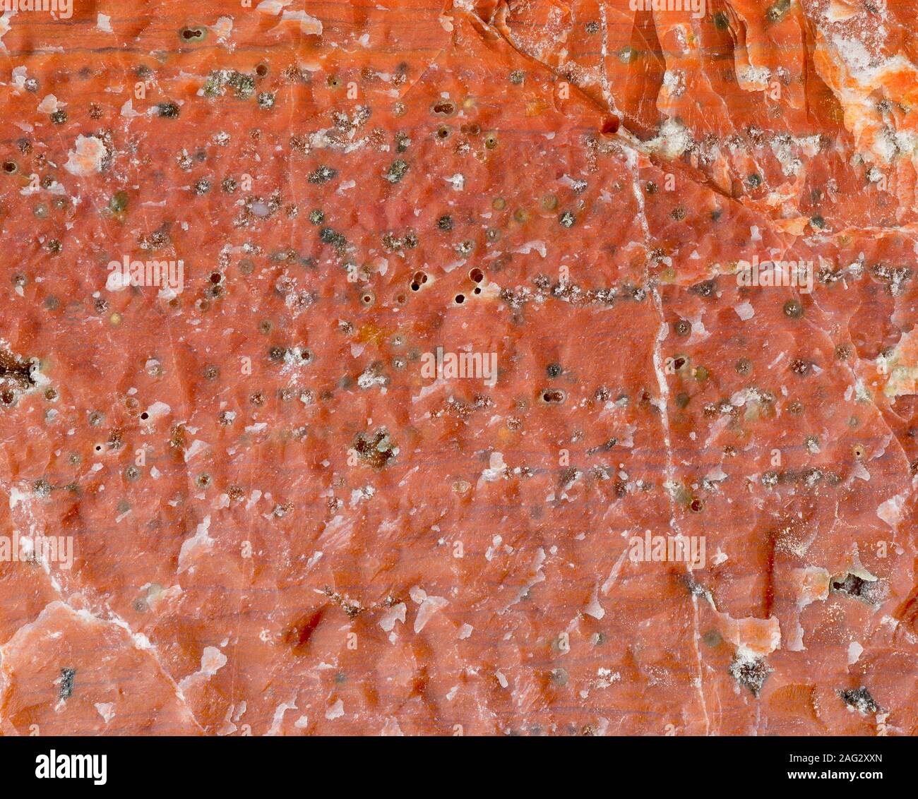 Orbicular jasper mineral stone hi-res stock photography and images - Alamy