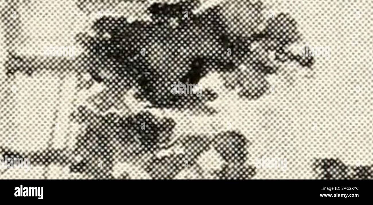 . The river St. John, its physical features, legends and history, from ...