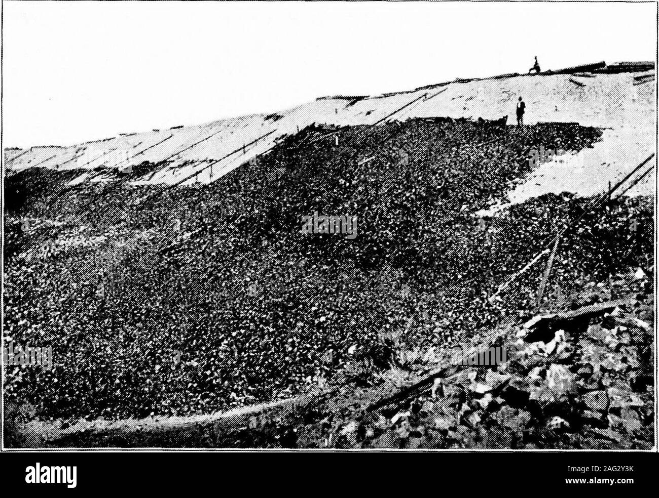 . Principles of irrigation engineering, arid lands, water supply ...