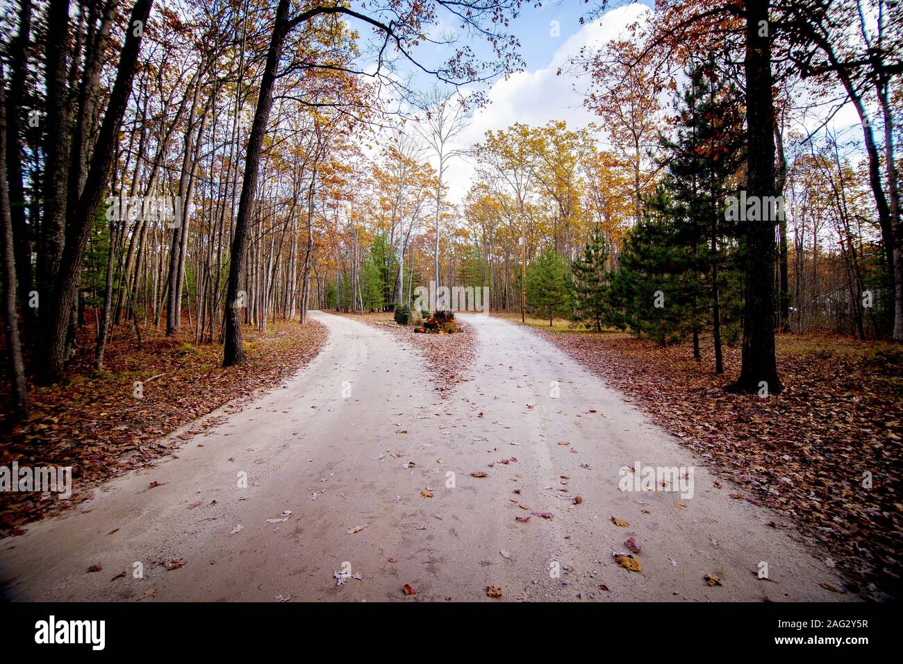 Beautiful shot of a pathway splitting in the middle of a forest with ...