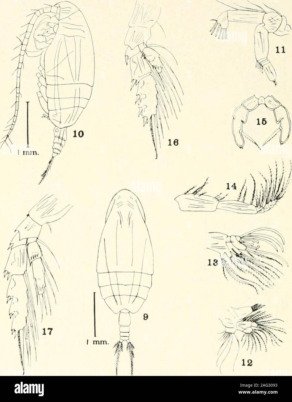 Femali hi-res stock photography and images - Alamy