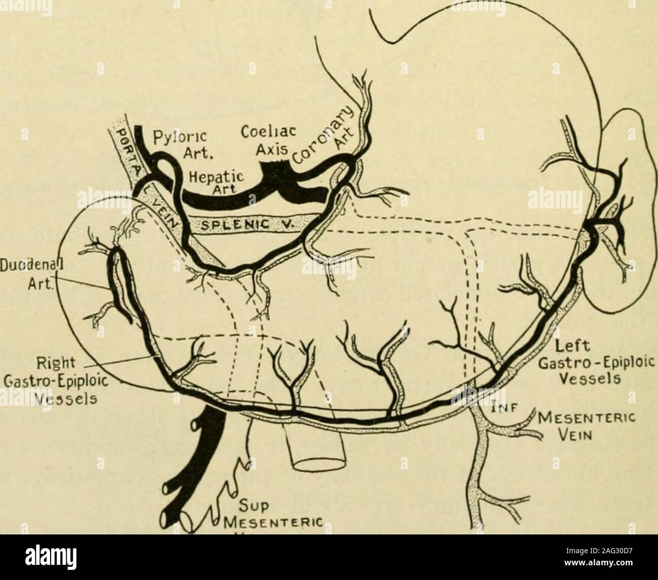 Tuffier hi-res stock photography and images - Alamy