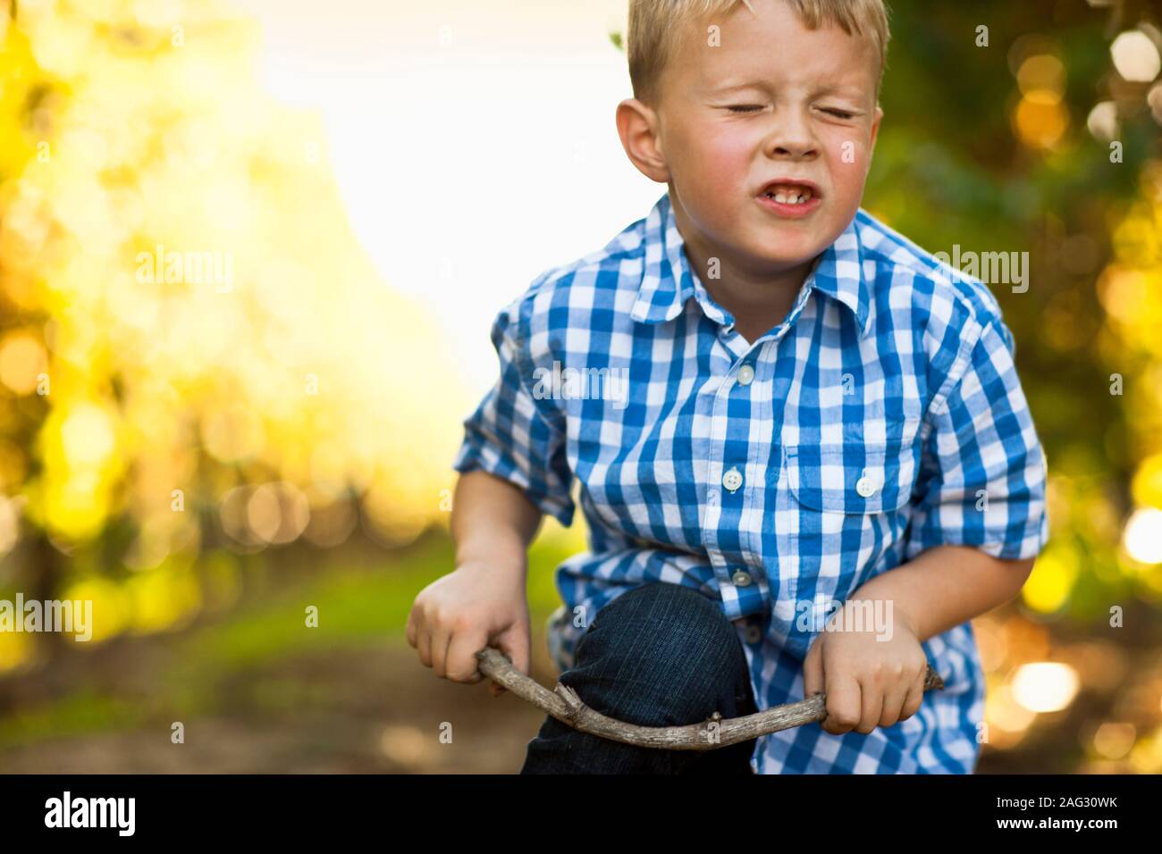 Trying of vines hi-res stock photography and images - Alamy