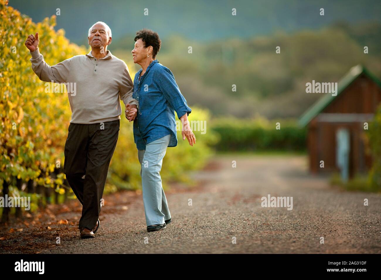 Old african american couple dancing hi-res stock photography and images ...