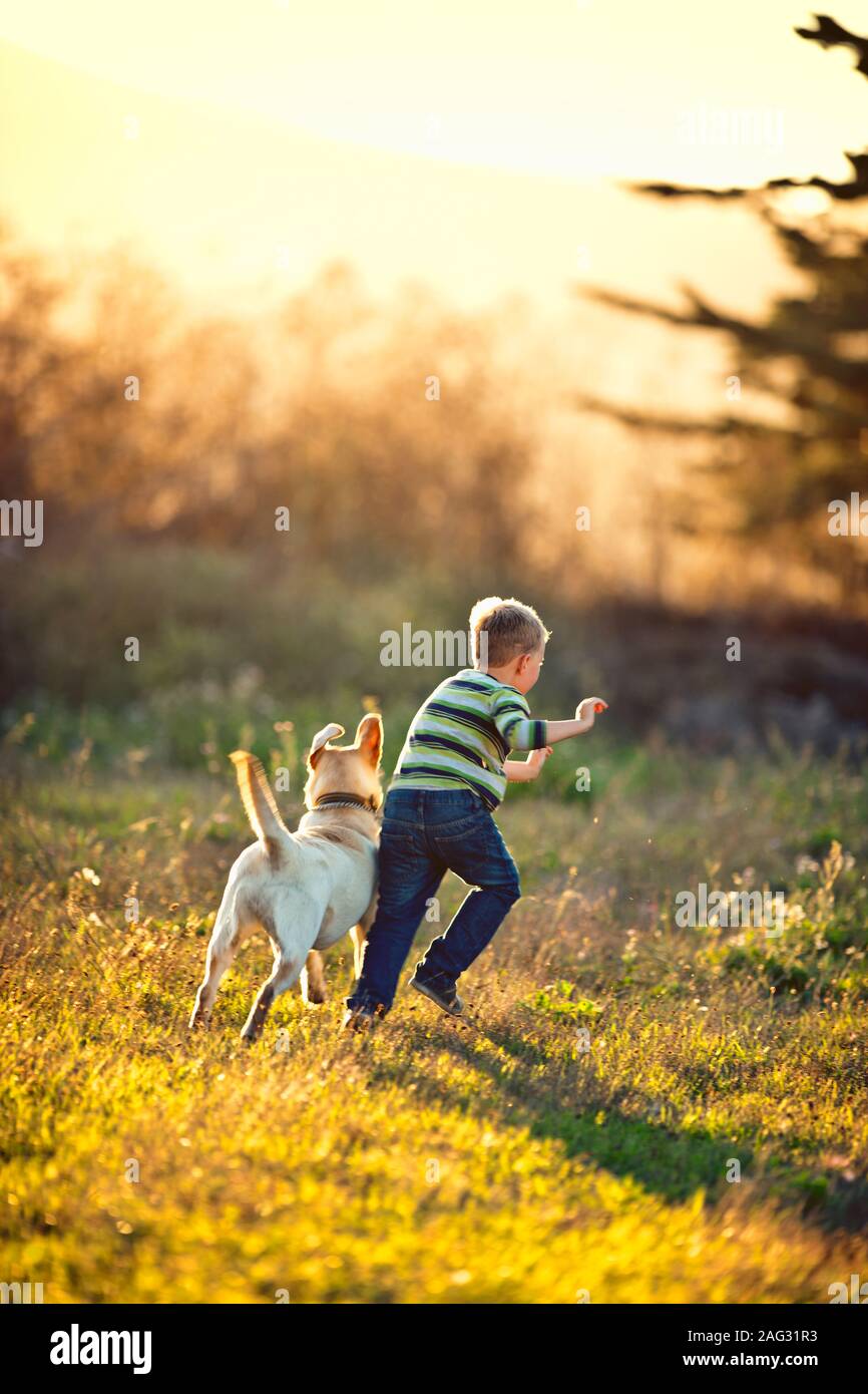 Little boy running on the field with his dog Stock Photo - Alamy