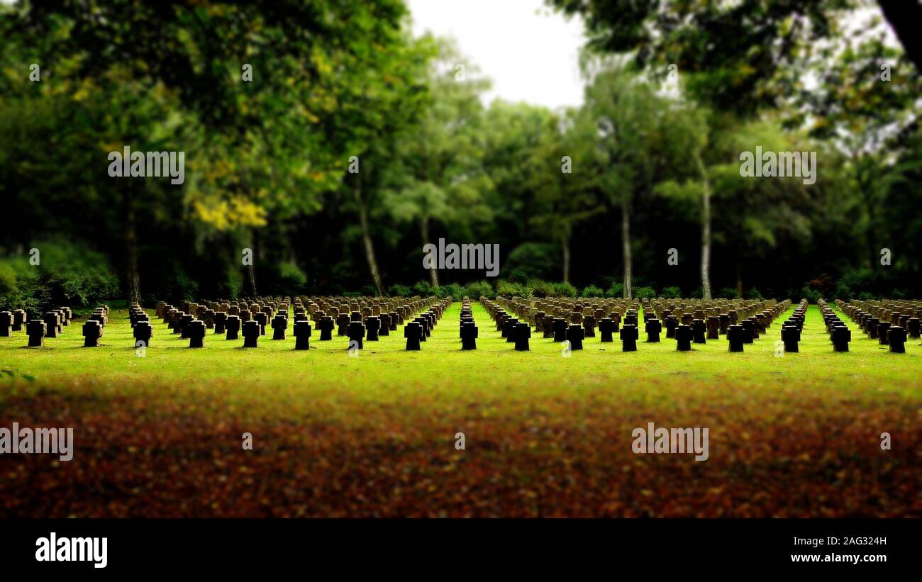 Wide shot of graveyard with a blurred background at daytime Stock Photo ...
