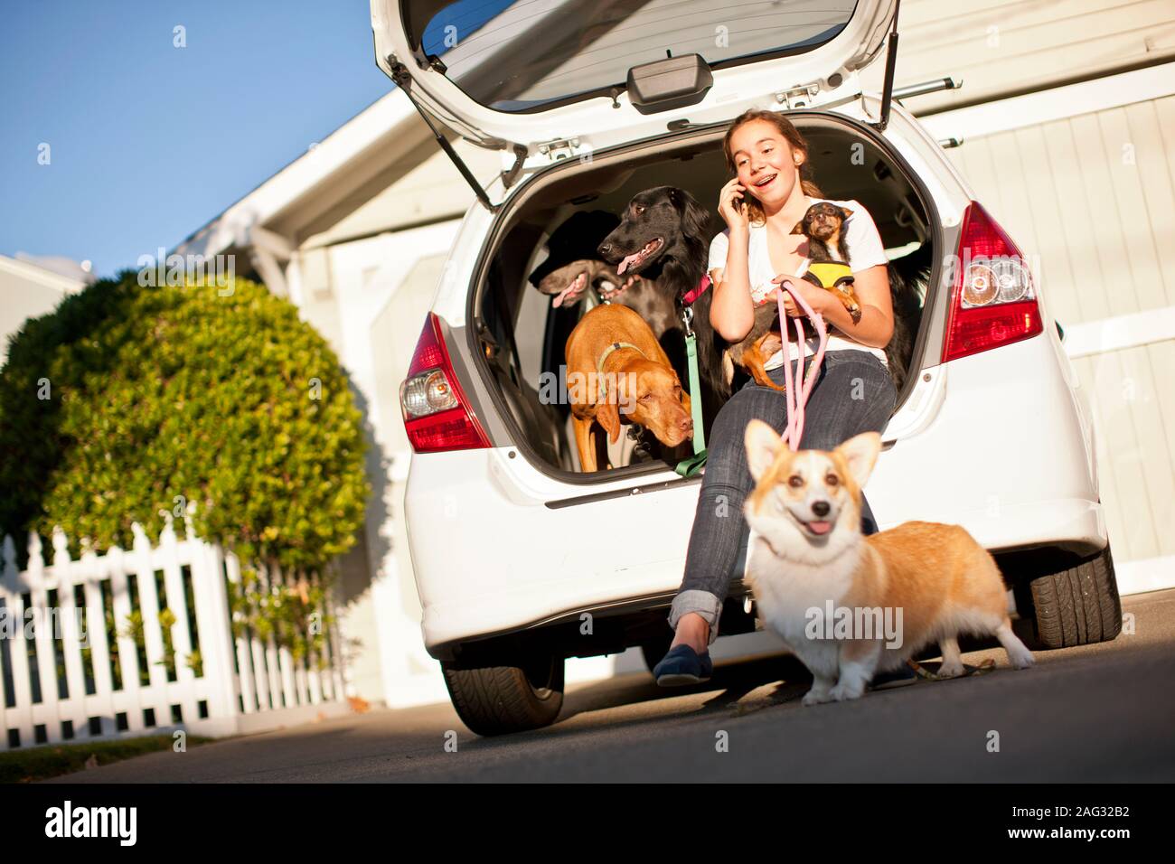 Girl taking a break with dog hi-res stock photography and images - Alamy
