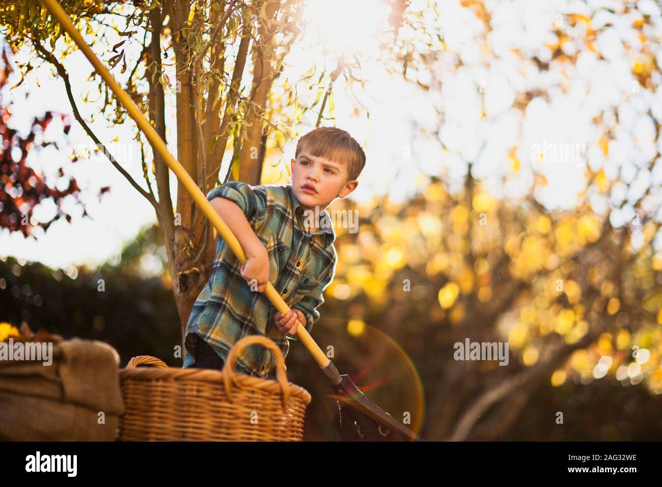 Grumpy Boy High Resolution Stock Photography and Images - Alamy