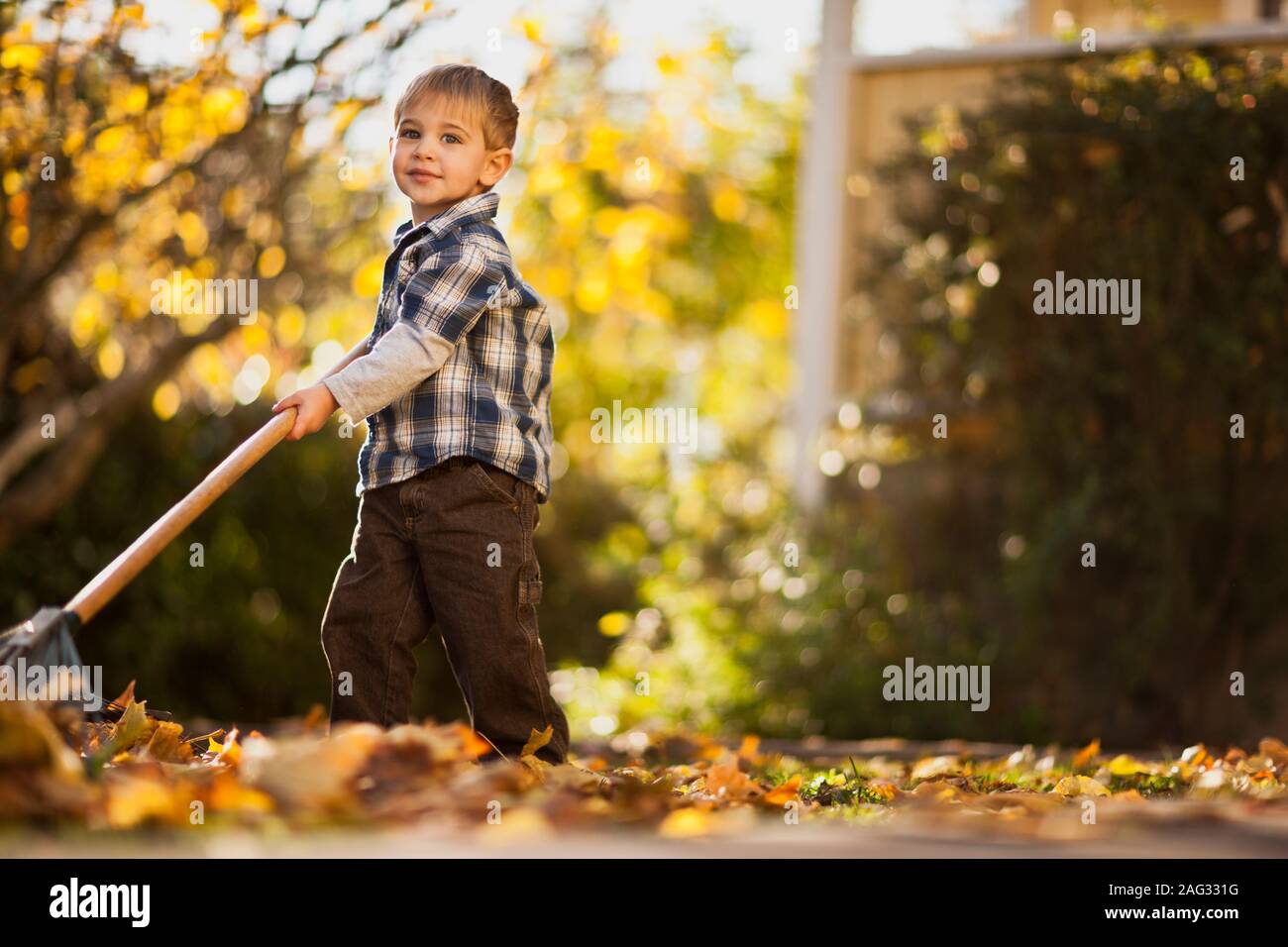 4 leaf gathering hi-res stock photography and images - Alamy