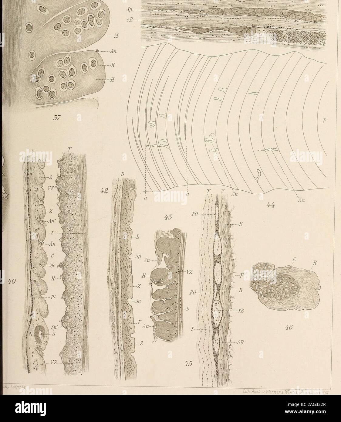 Xwm hi-res stock photography and images - Alamy