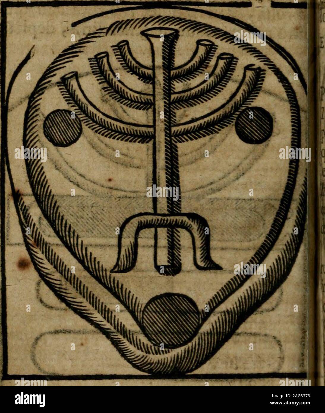 Quoque hi-res stock photography and images - Alamy