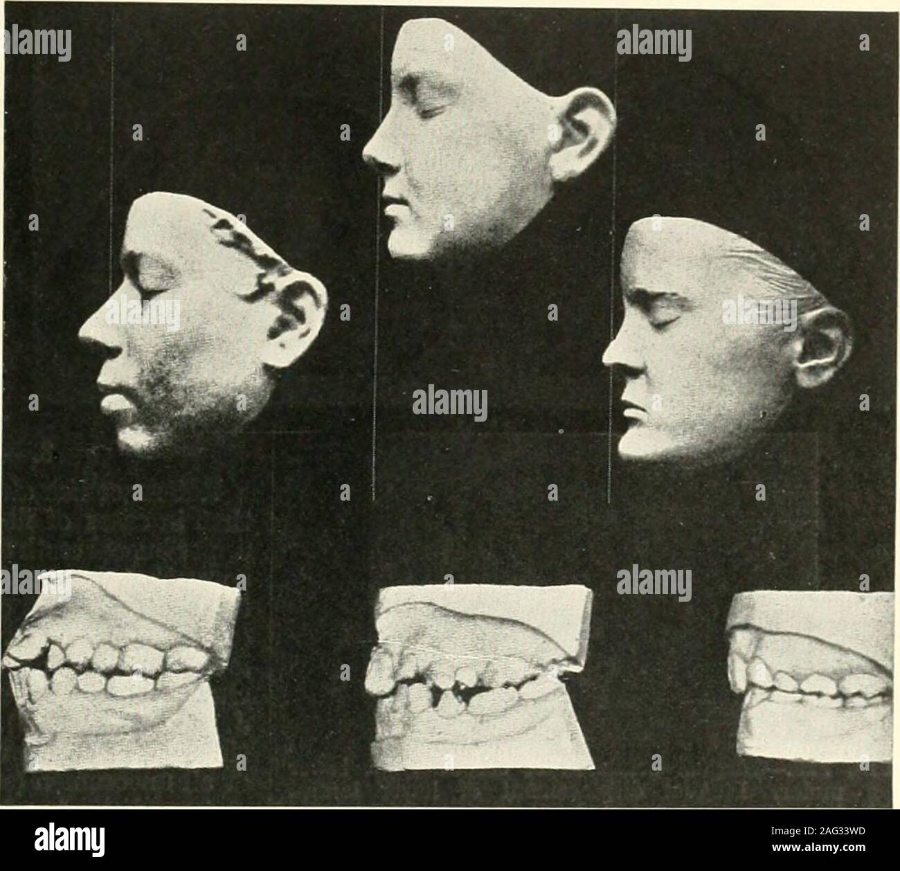. The science and practice of dental surgery. Thetreatment necessary ...