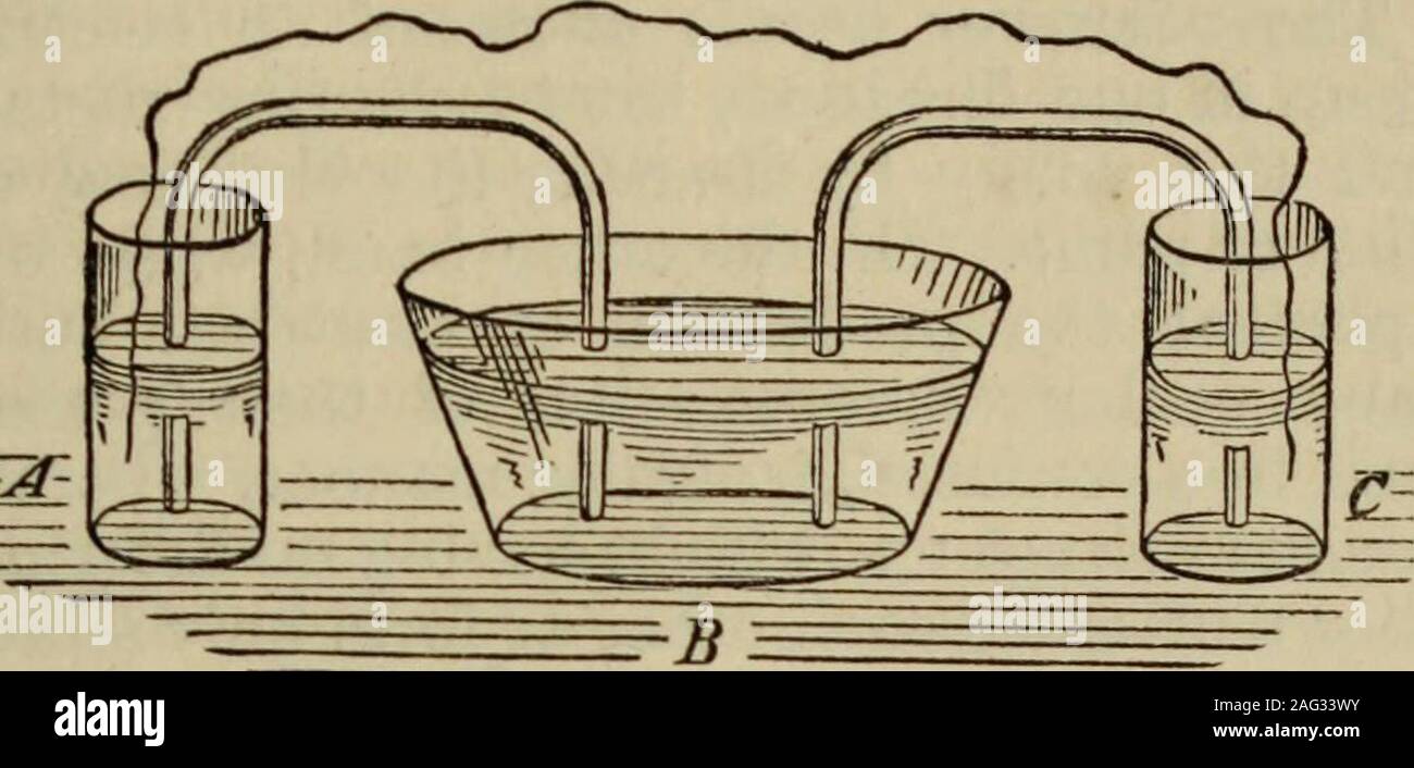 Potassium Intensifies