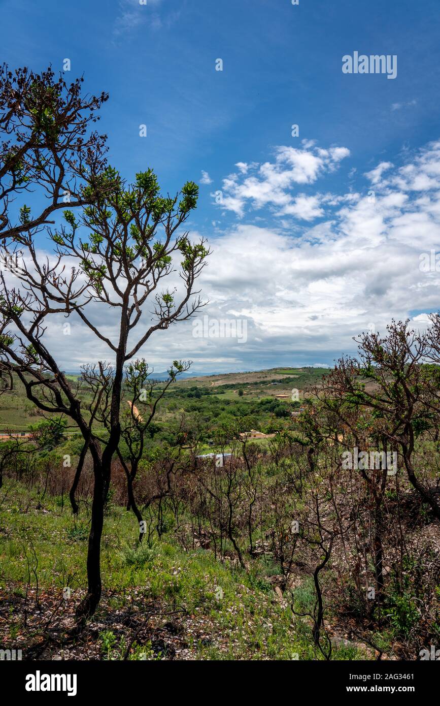 Aerial amazon river dry hi-res stock photography and images - Alamy