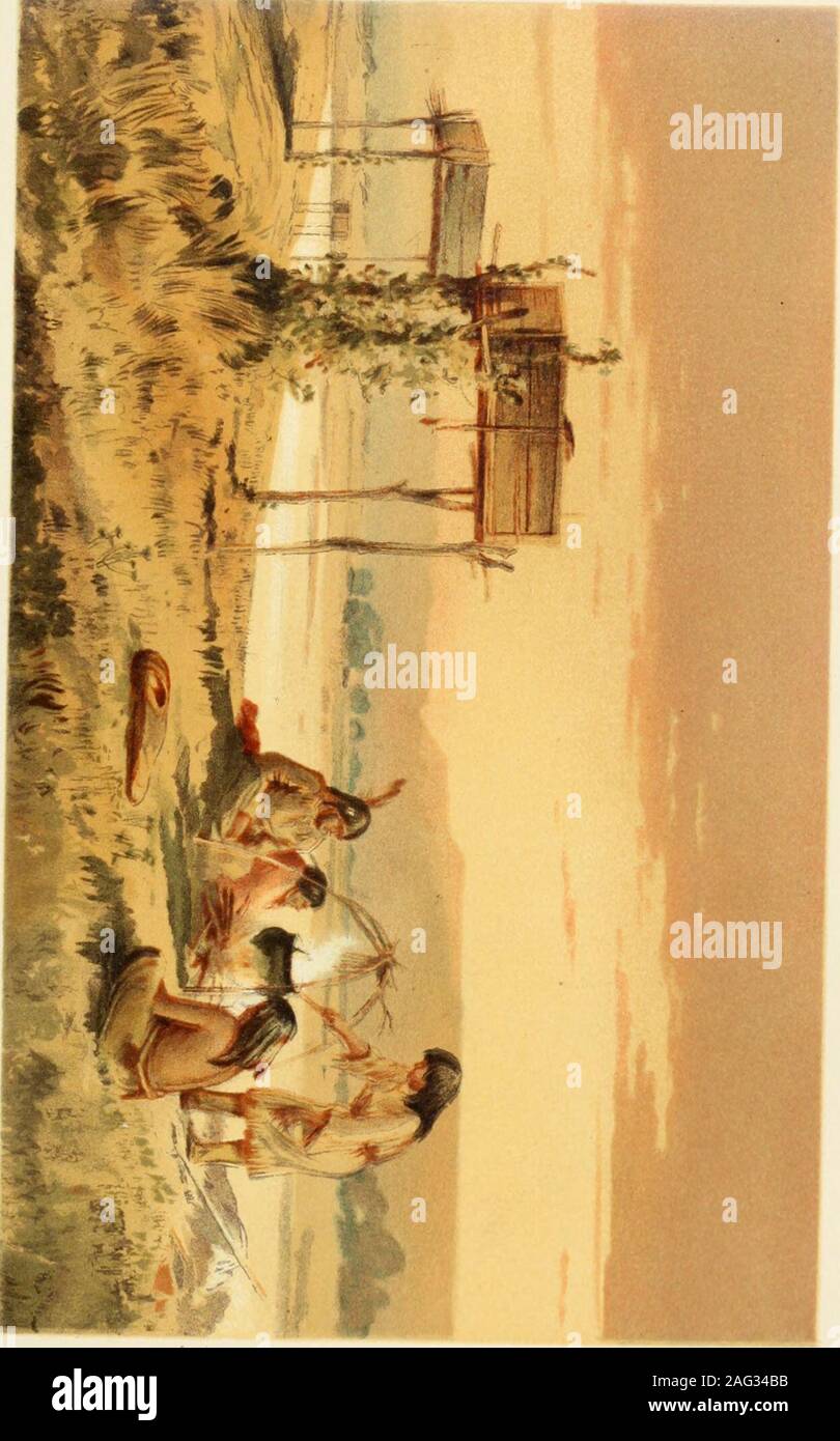 George m sternberg hi-res stock photography and images - Alamy