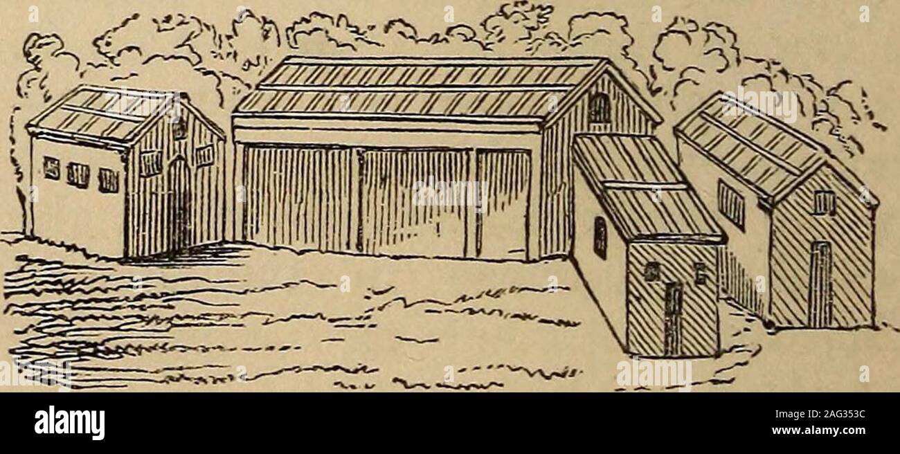 Chorobates hi-res stock photography and images - Alamy