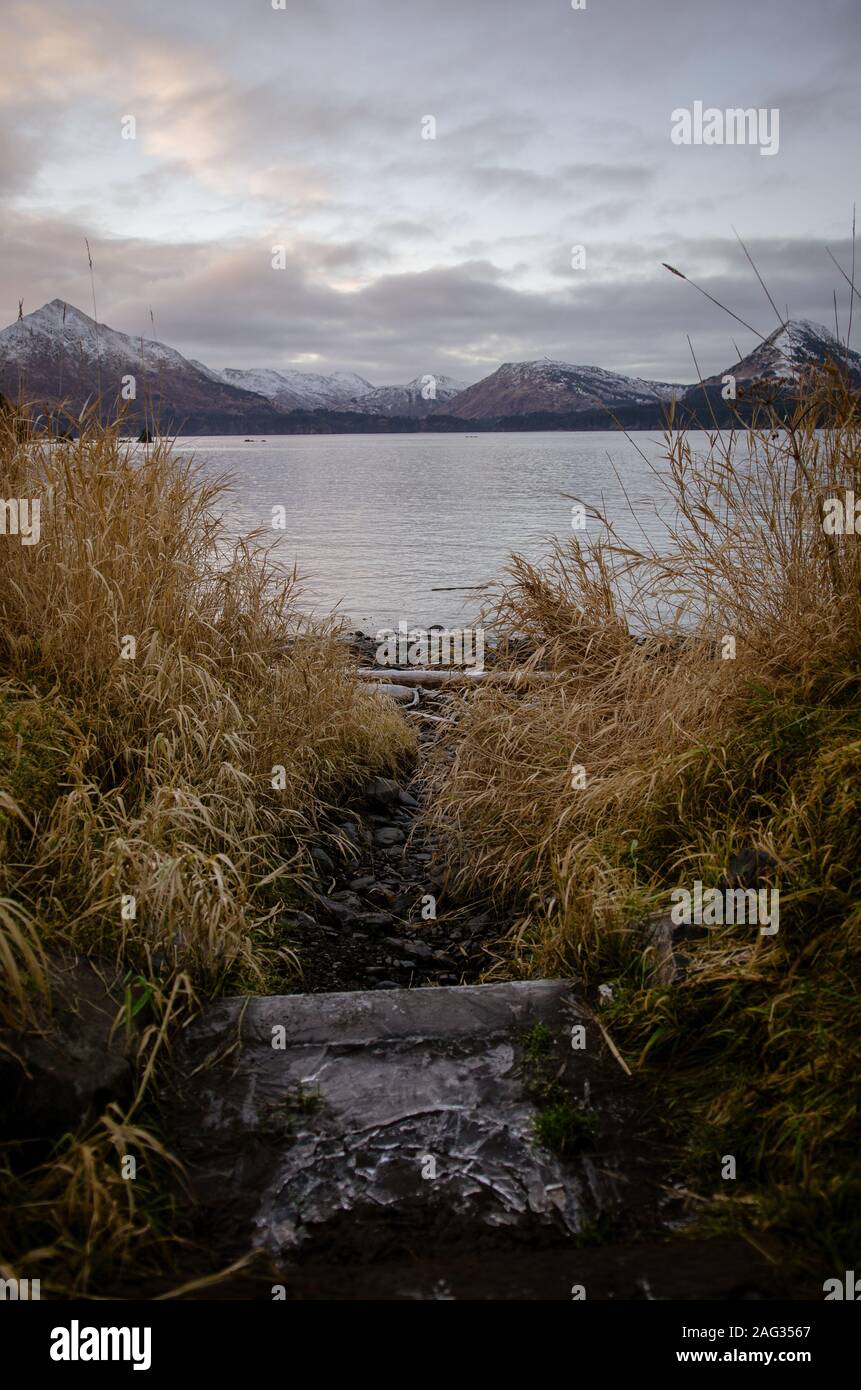 Lonely Path to the Beach Stock Photo - Alamy