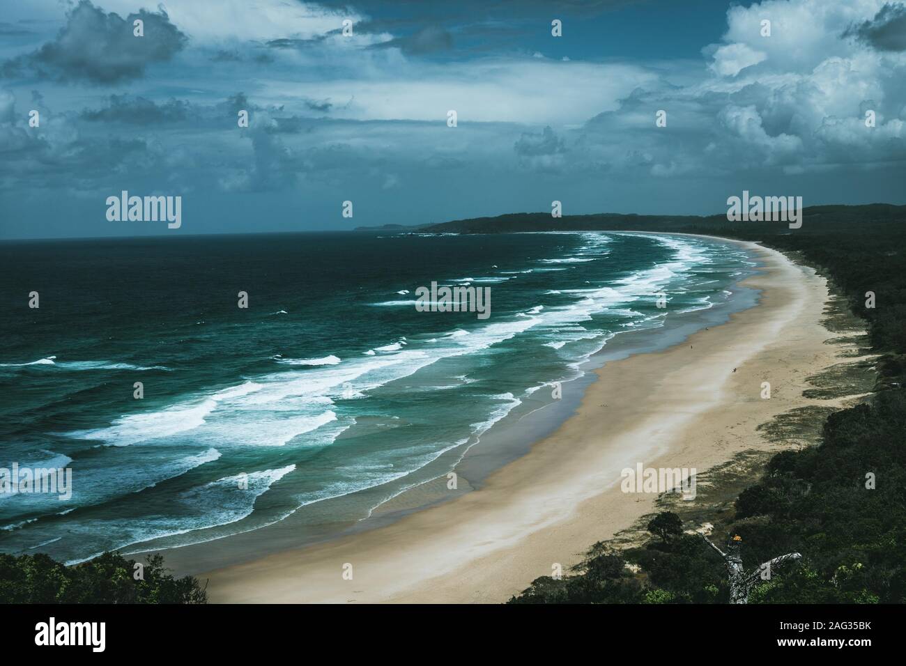 Beautiful scenery of a beach in front of a green forest during evening ...