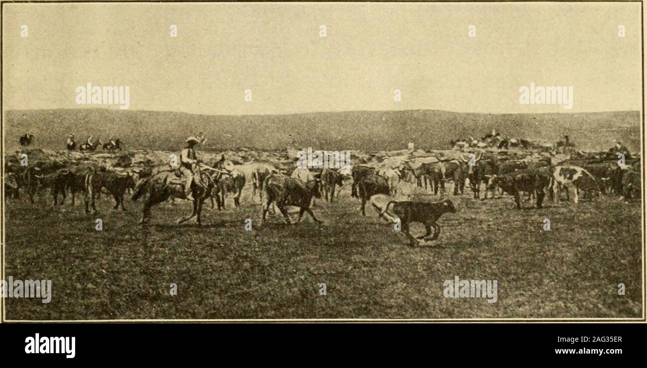 Cowboys on open range hi-res stock photography and images - Alamy
