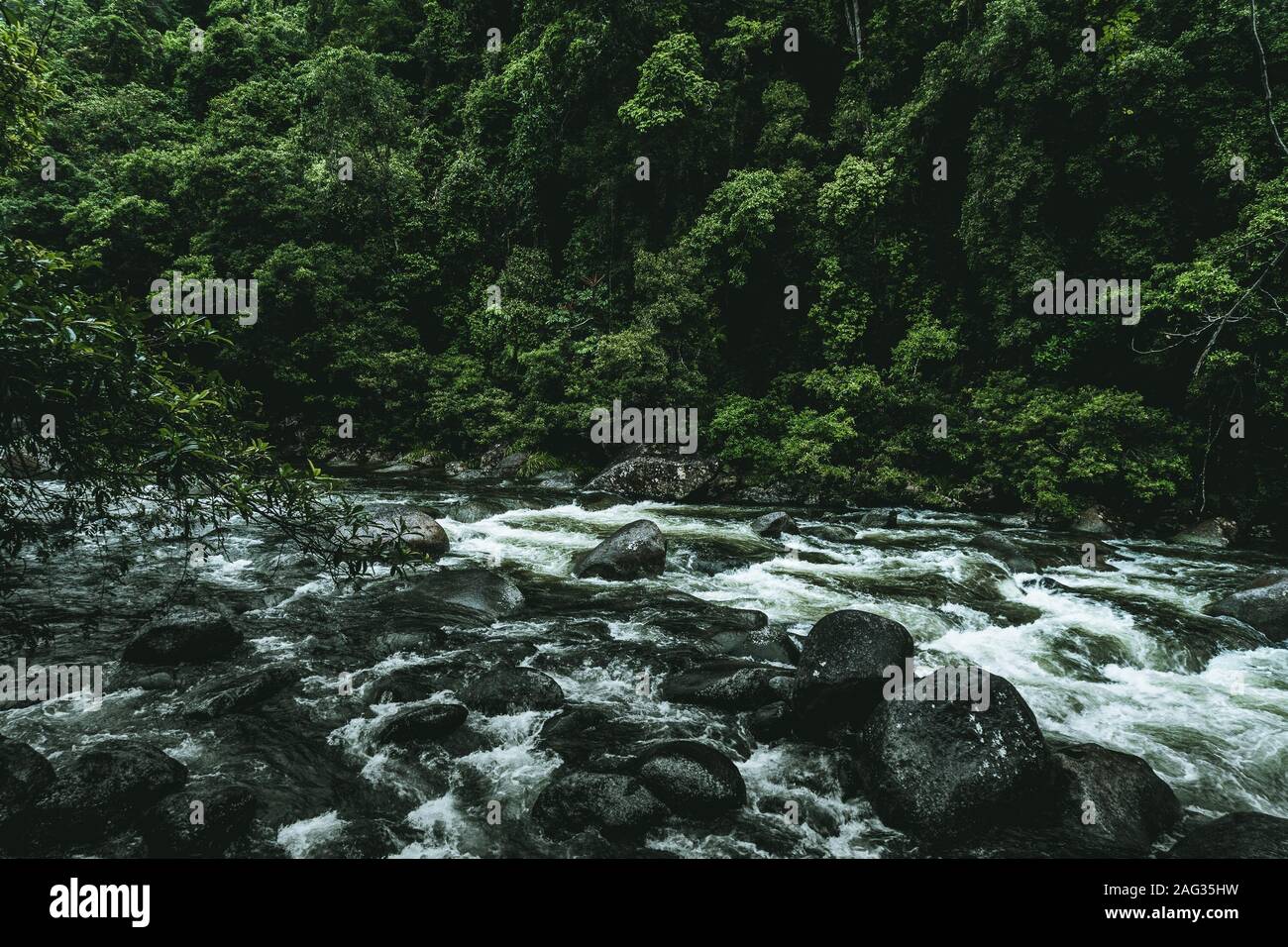 River full of rocks in the middle of a green forest Stock Photo - Alamy