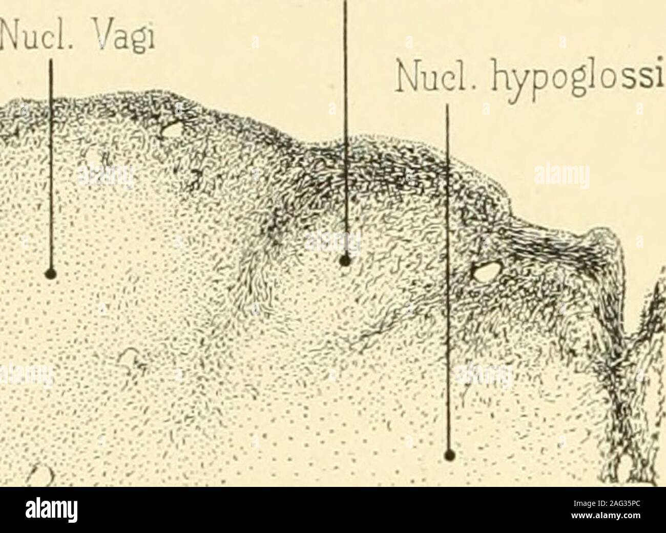 Blood on the tracks hi-res stock photography and images - Alamy