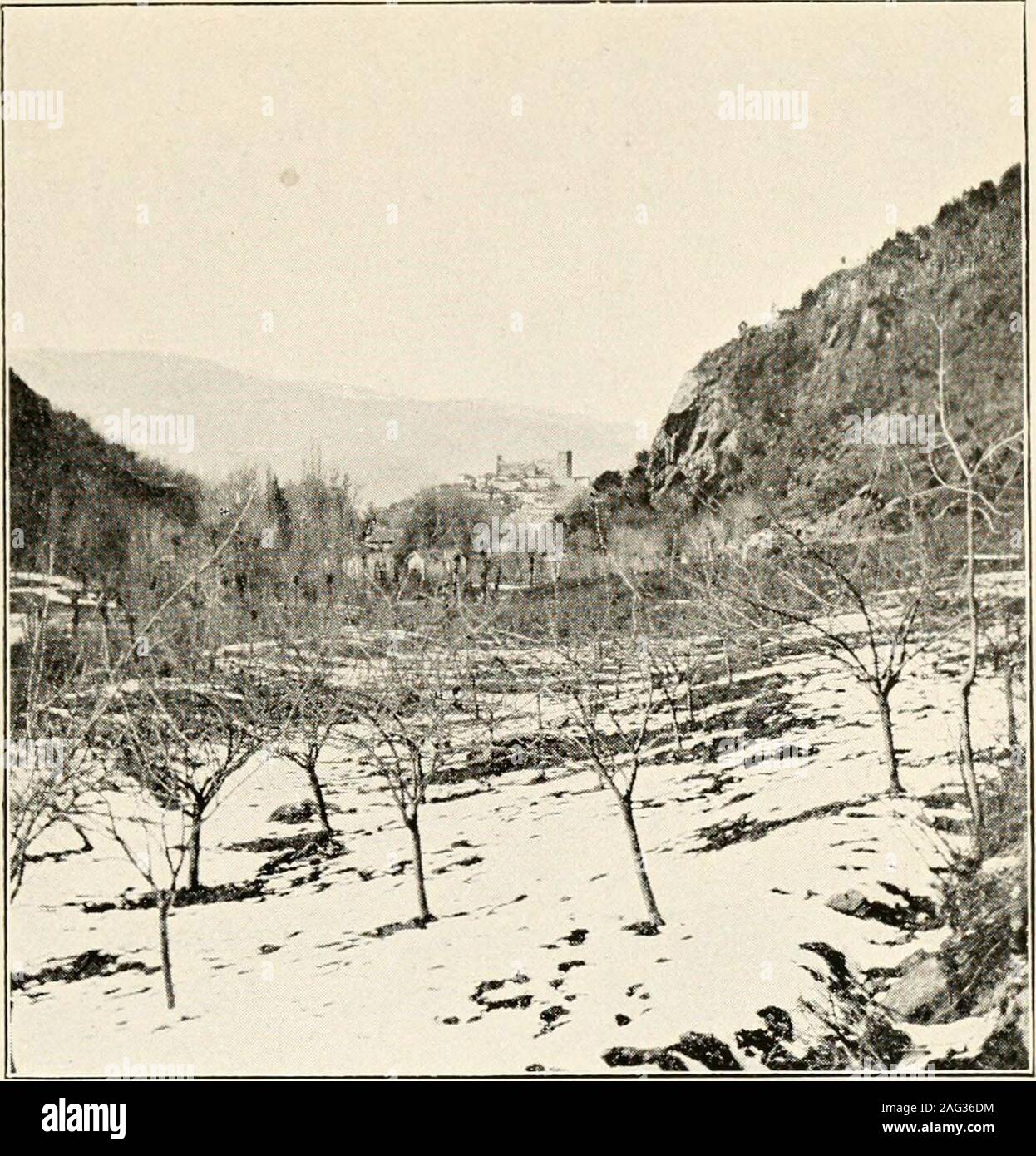 Pyrenees word hi-res stock photography and images - Alamy