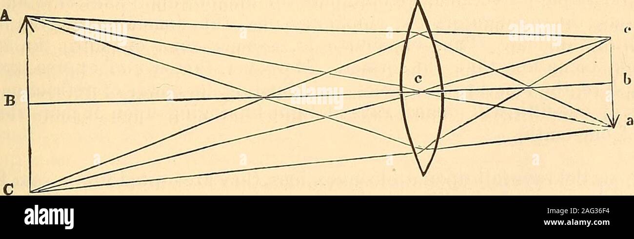 Conjugate focus hi-res stock photography and images - Alamy