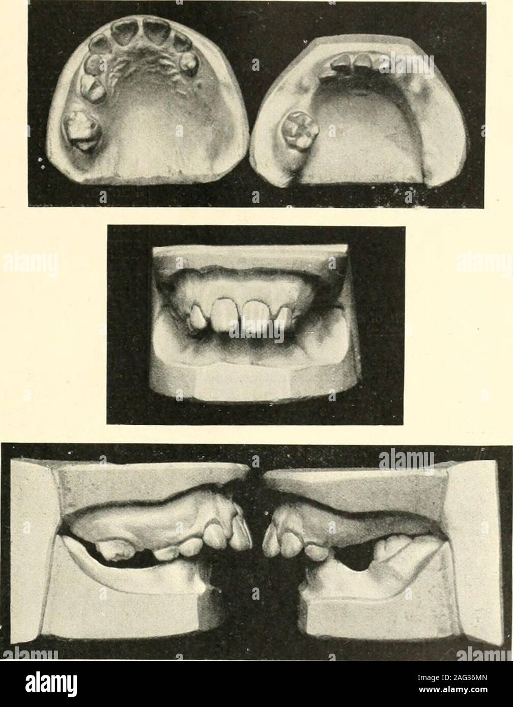 . The science and practice of dental surgery. theeffect will be to ...