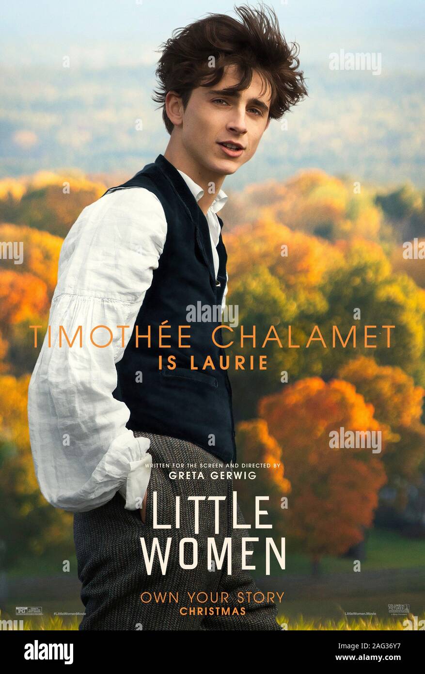 LITTLE WOMEN, US character poster, Timothee Chalamet as Theodore Laurie ...
