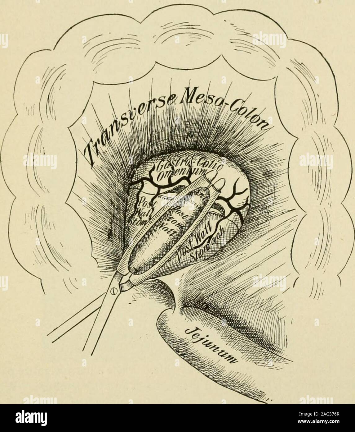 Vicious_circle hi-res stock photography and images - Alamy