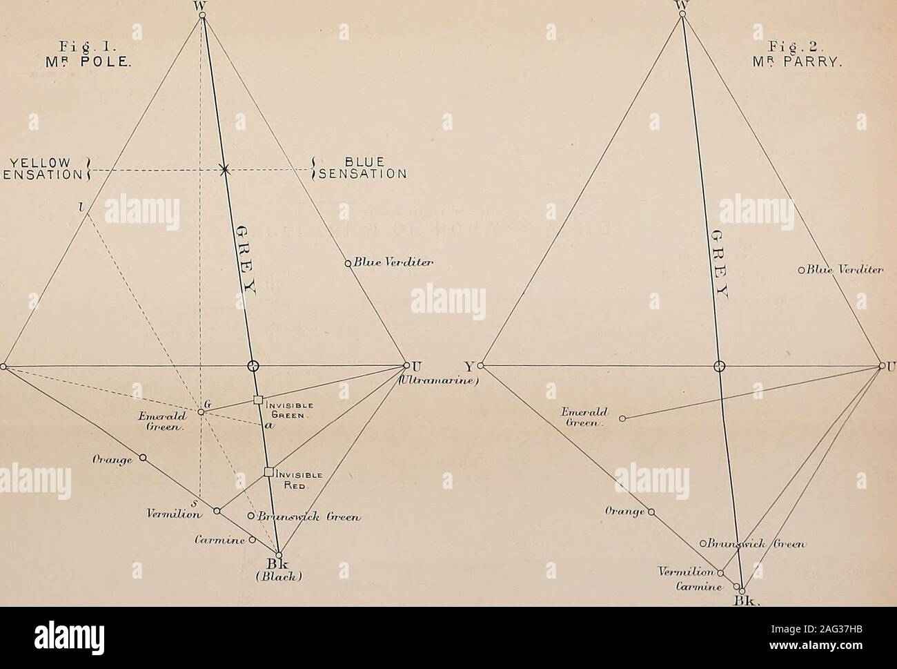 Dichromic hi-res stock photography and images - Alamy