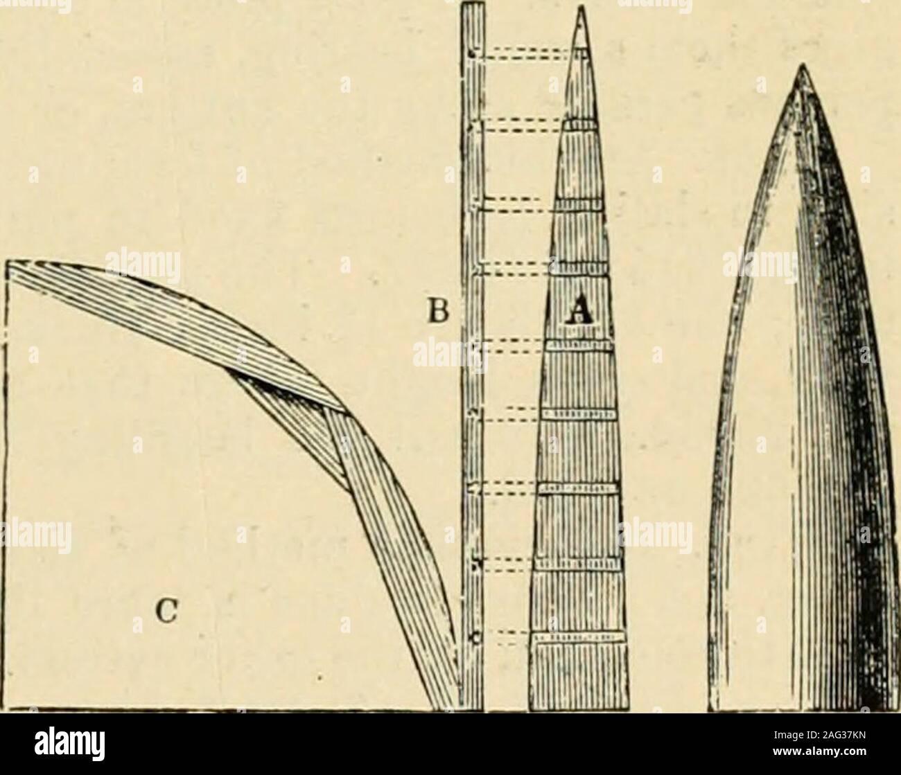 Two concentric grooves hi-res stock photography and images - Alamy
