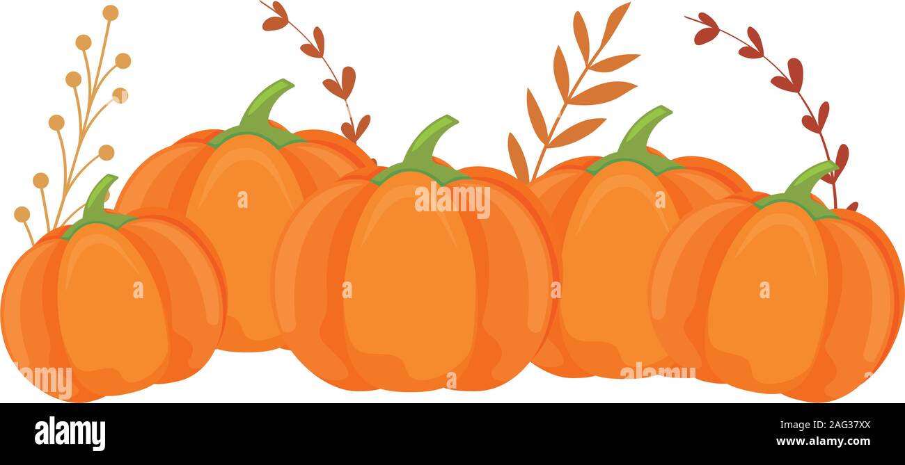 Autumn pumpkins and leaves design, season nature ornament garden ...