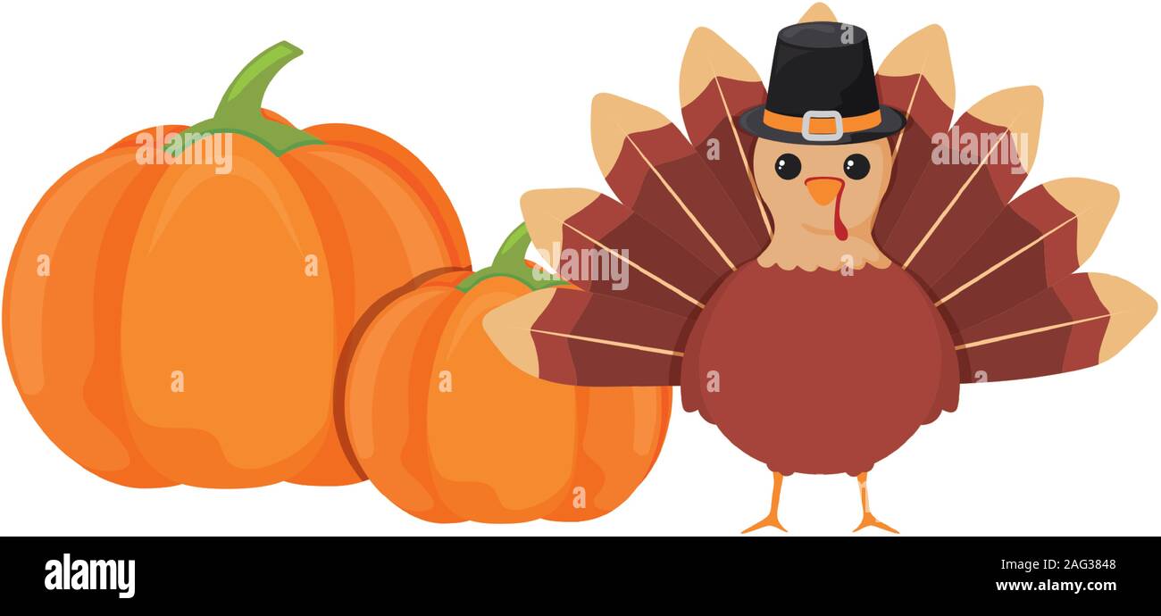 Turkey and pumpkins of thanksgiving day design, Autumn season holiday ...
