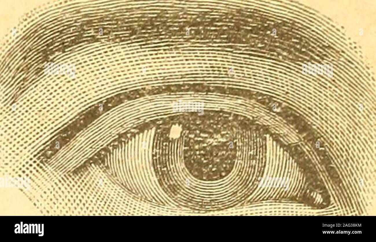 . Human nature, or, Men and women exposed : treating of every ...