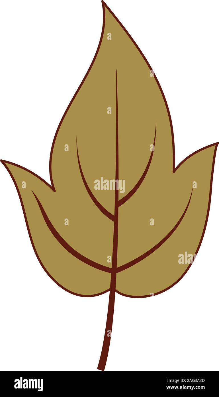 Autumn leaf design, season nature ornament garden decoration and botany ...