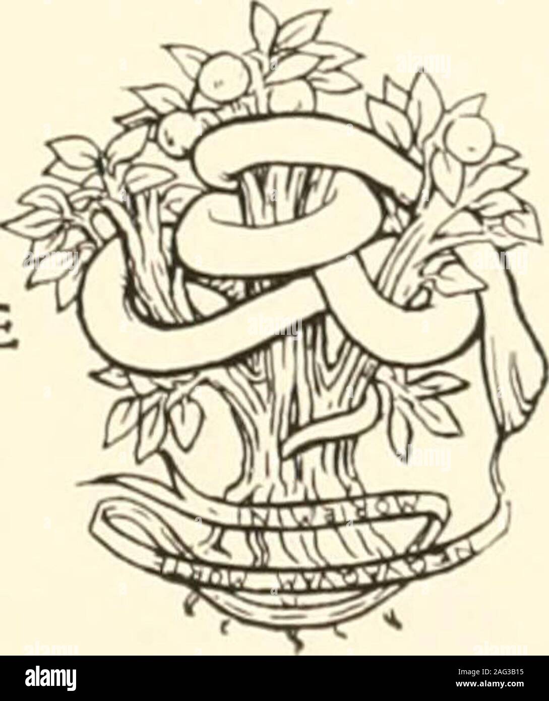 Lacquey hi-res stock photography and images - Alamy