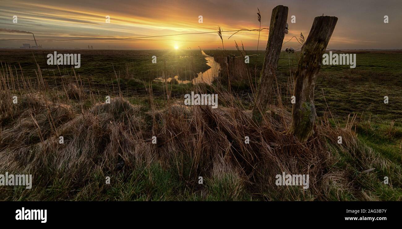 Beautiful scenery of a grass field with woods and the breathtaking view ...