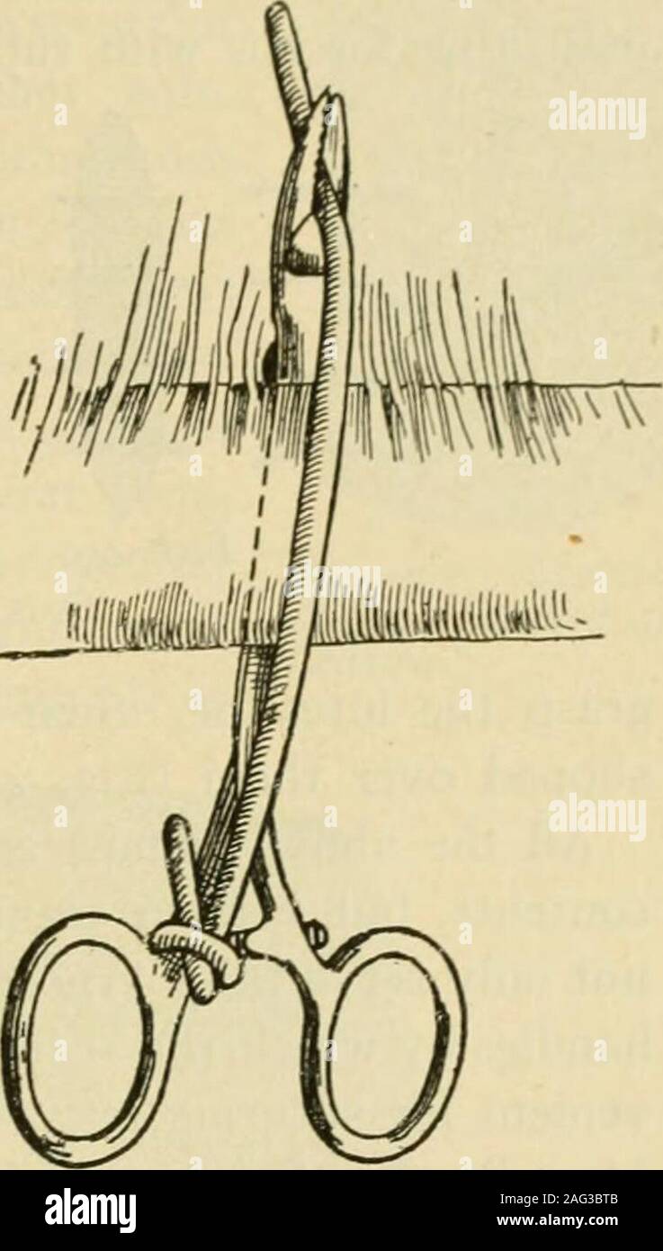 Peans hi-res stock photography and images - Alamy