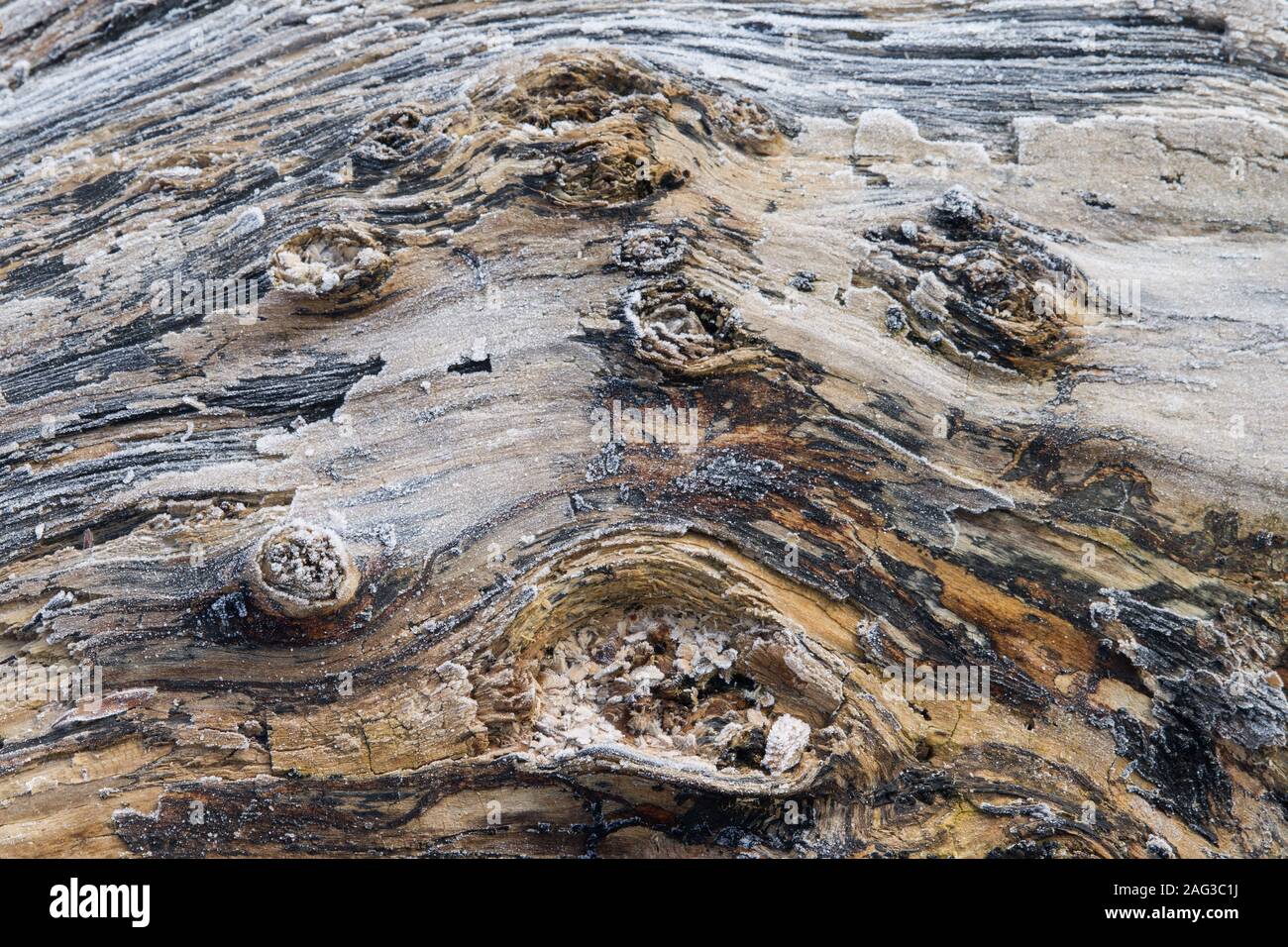 abstract texture of frozen lumber Stock Photo - Alamy