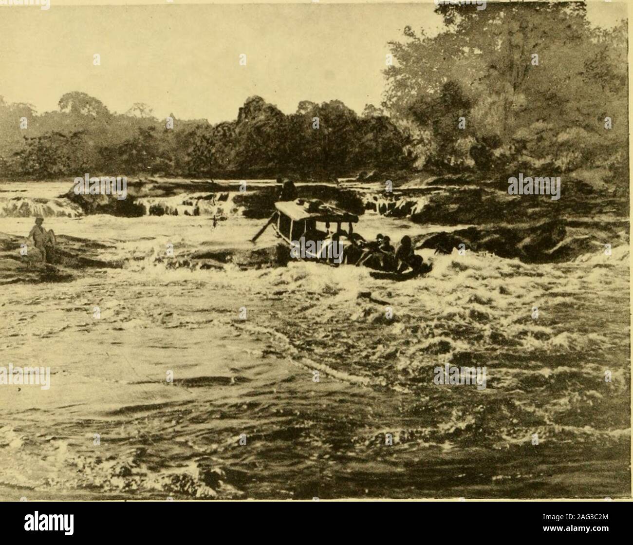 Stages of decomposition hi-res stock photography and images - Alamy