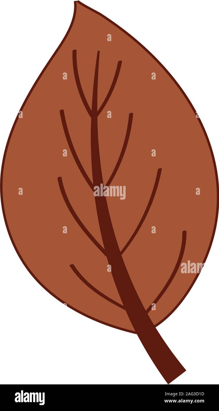 Autumn leaf design, season nature ornament garden decoration and botany ...