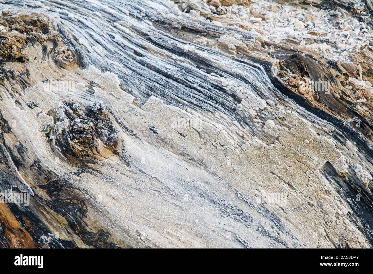abstract texture of frozen lumber Stock Photo - Alamy