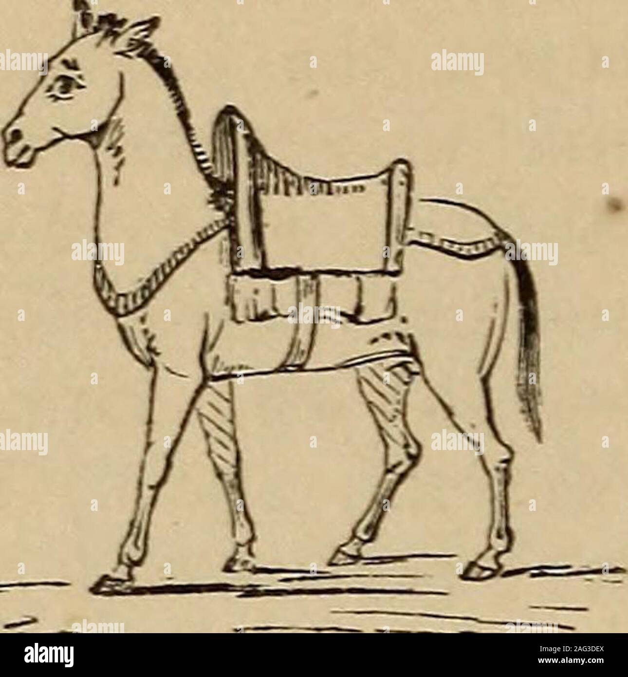 Female centaur hi-res stock photography and images - Alamy