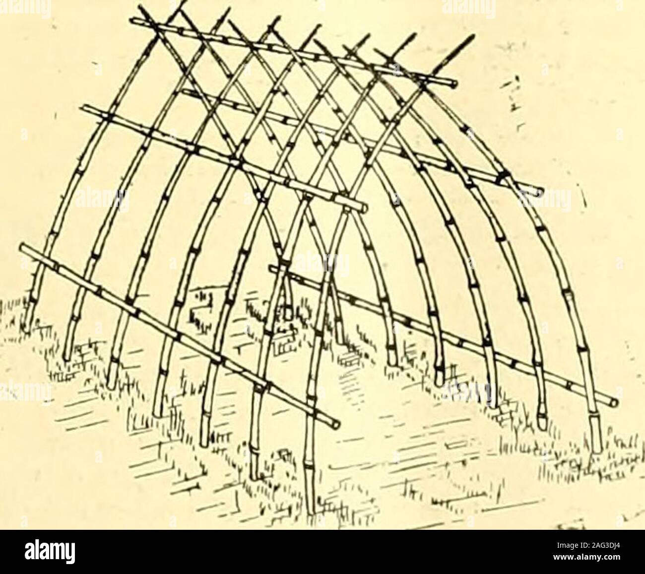 Bamboo arches hi-res stock photography and images - Alamy